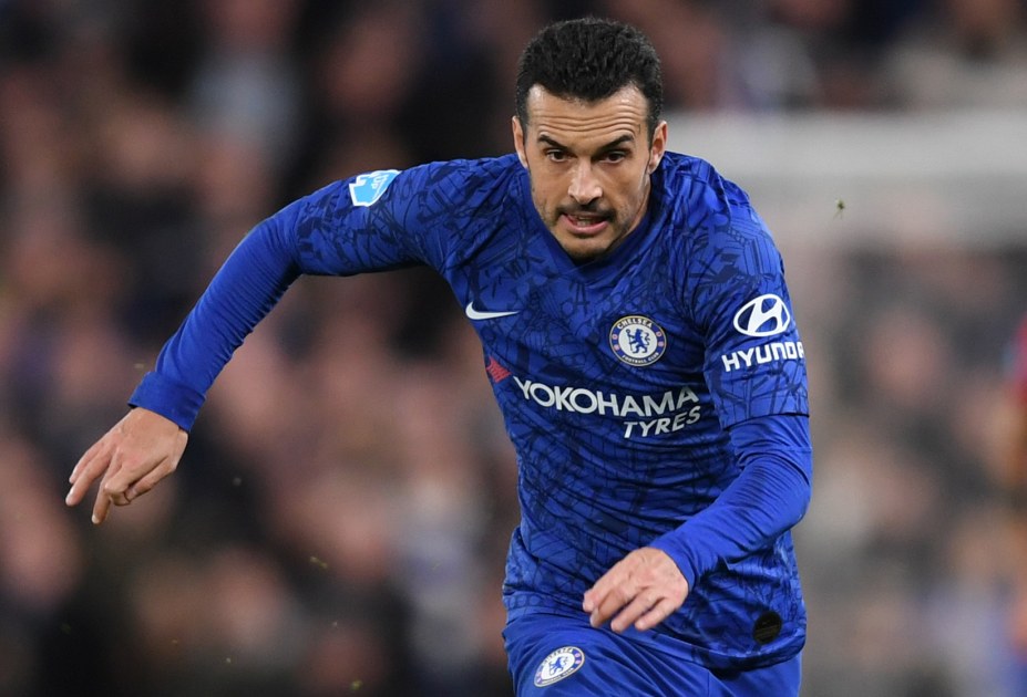 Pedro of chelsea store
