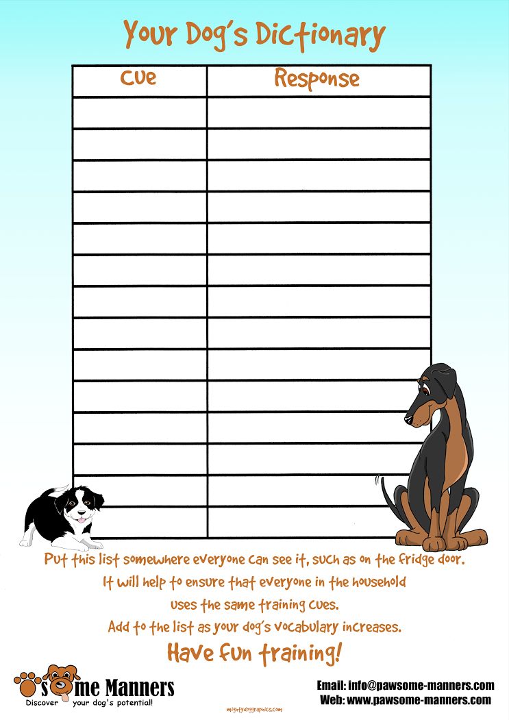 There Are No Magic Words In Dog Training Pawsome Manners Force Free There Are No Magic Words In Dog Training Pawsome Manners Force Free
