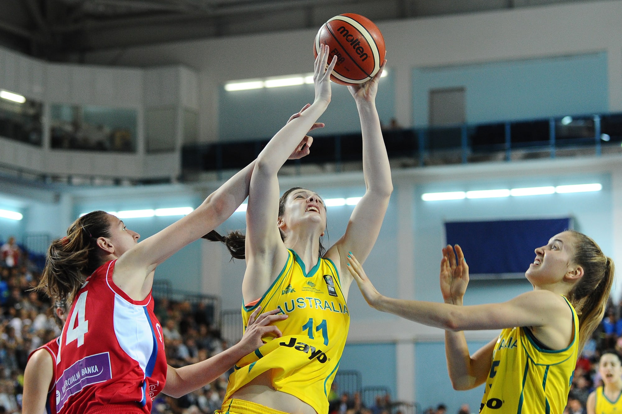 Scherf benefits from working under Joyce | FIBA Basketball