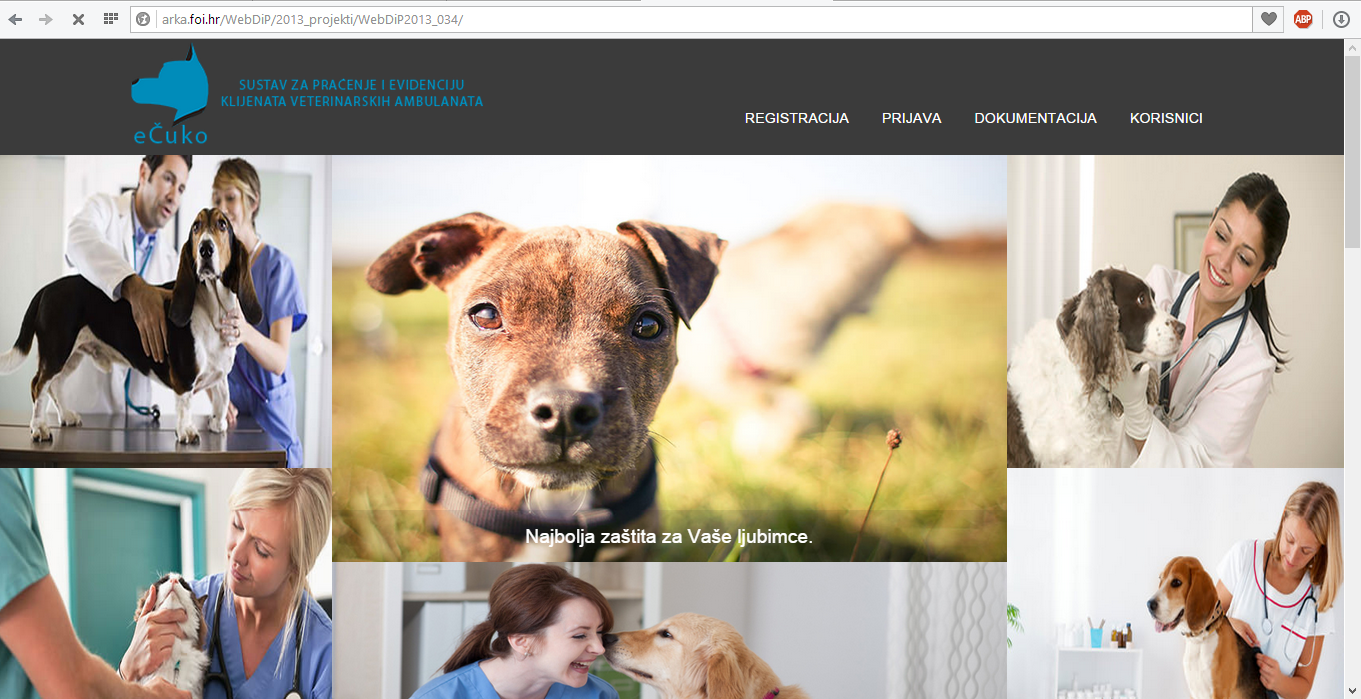 GitHub - mkovacek/Web-app-for-veterinary-clinics: The web app is used to record and monitor ...
