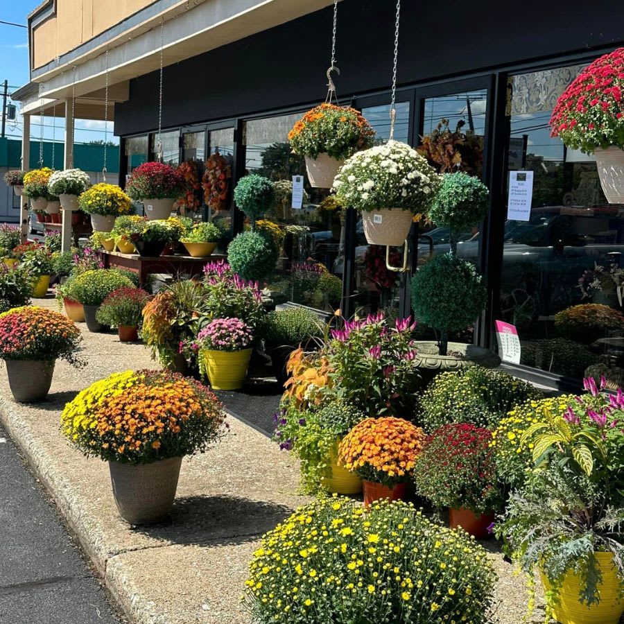 Flower Delivery Mechanicsburg Pa