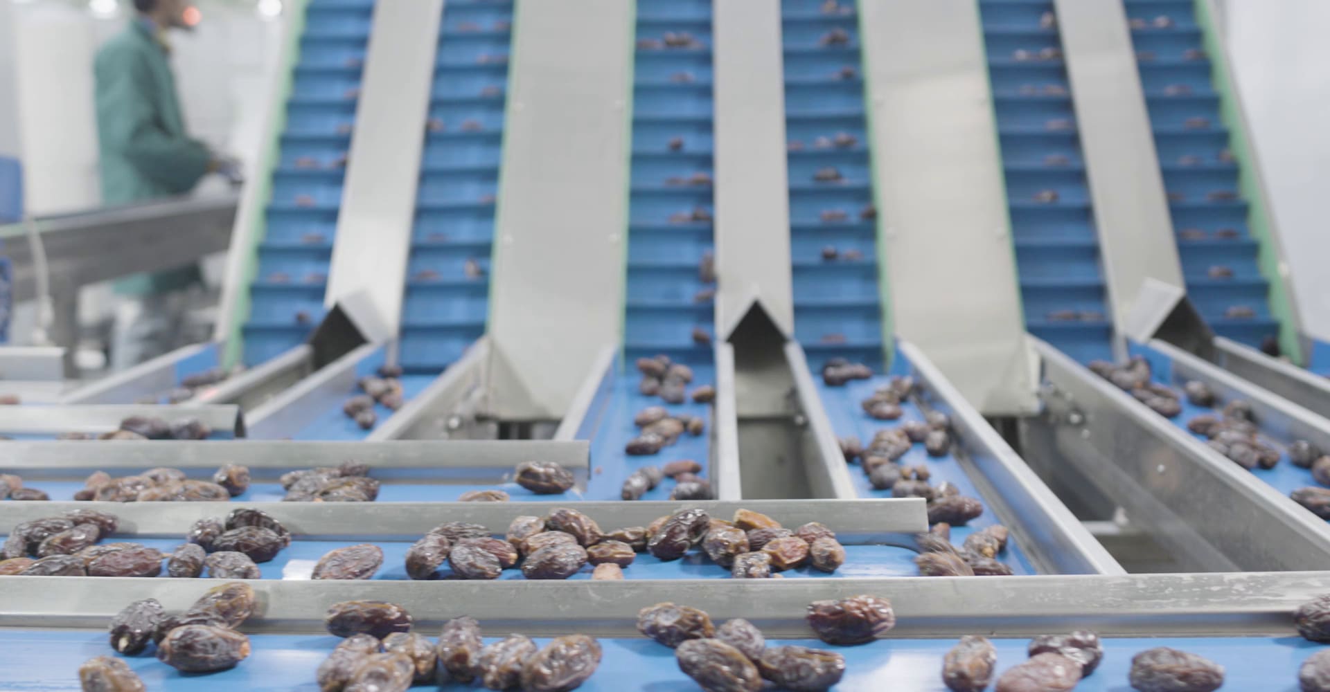 Date Sorting Machines Quadra Machinery