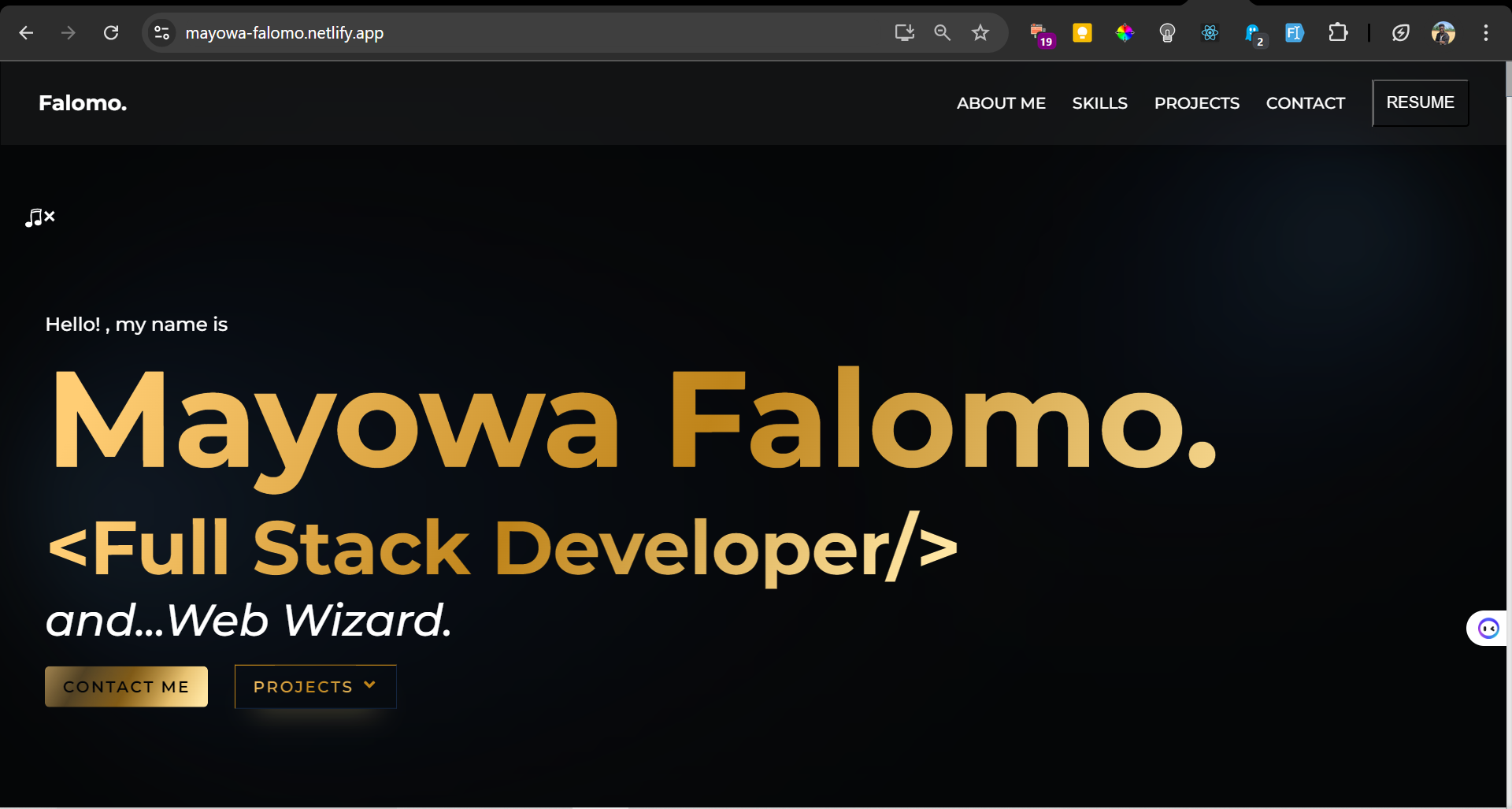 GitHub - MayorFalomo/Portfolio_v1: Hello!, Check out my Portfolio v1