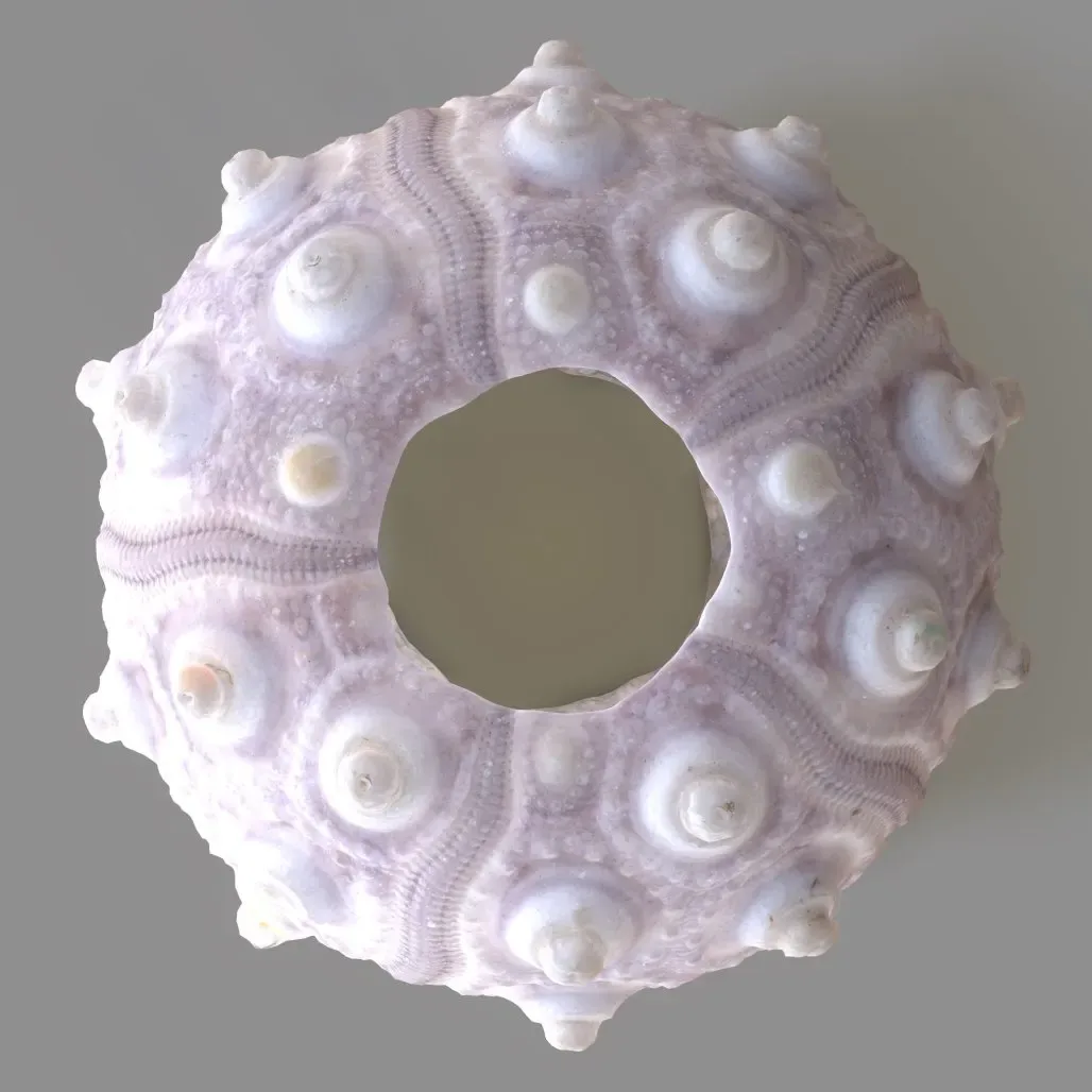 Sputnik Sea Urchin D Model Flippednormals