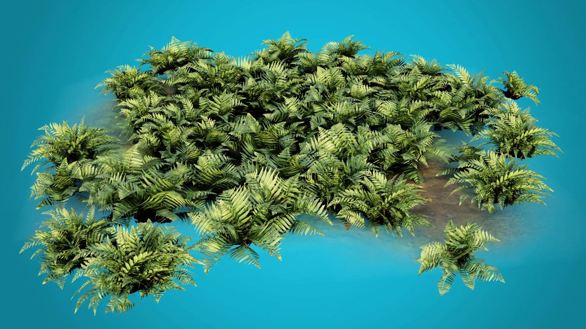 Blender 4 Jungle Terrain Geometry FlippedNormals