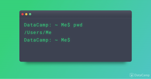 Bash Shell Commands Examples For Files And Data Datacamp