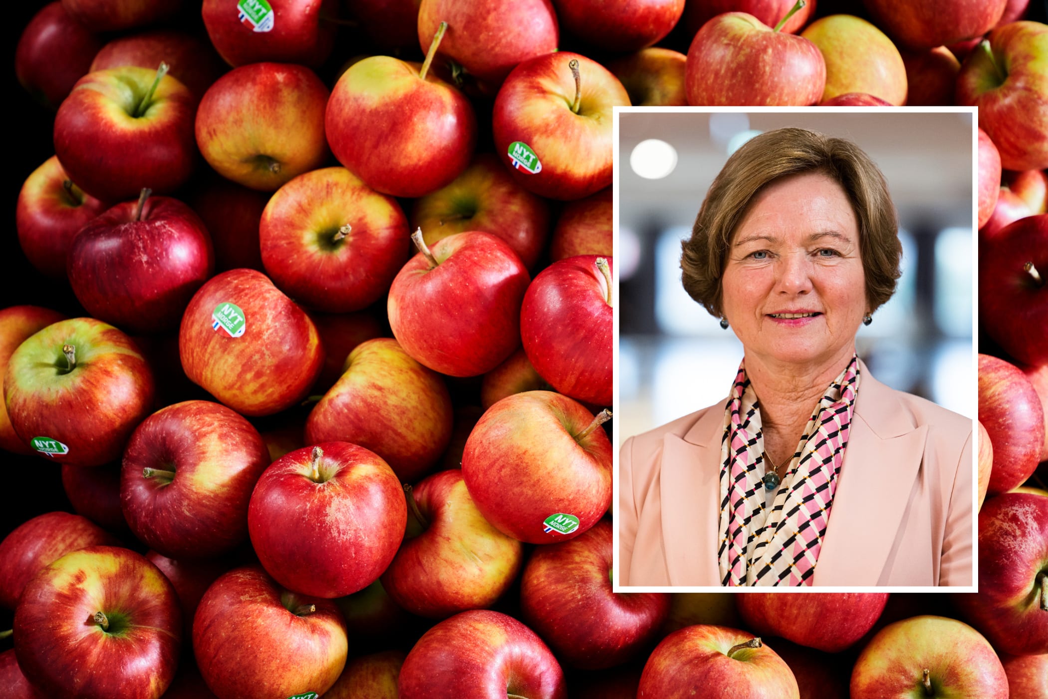 Ny lagringsteknologi gjør det mulig å nyte norske epler til jul | Gartnerhallen