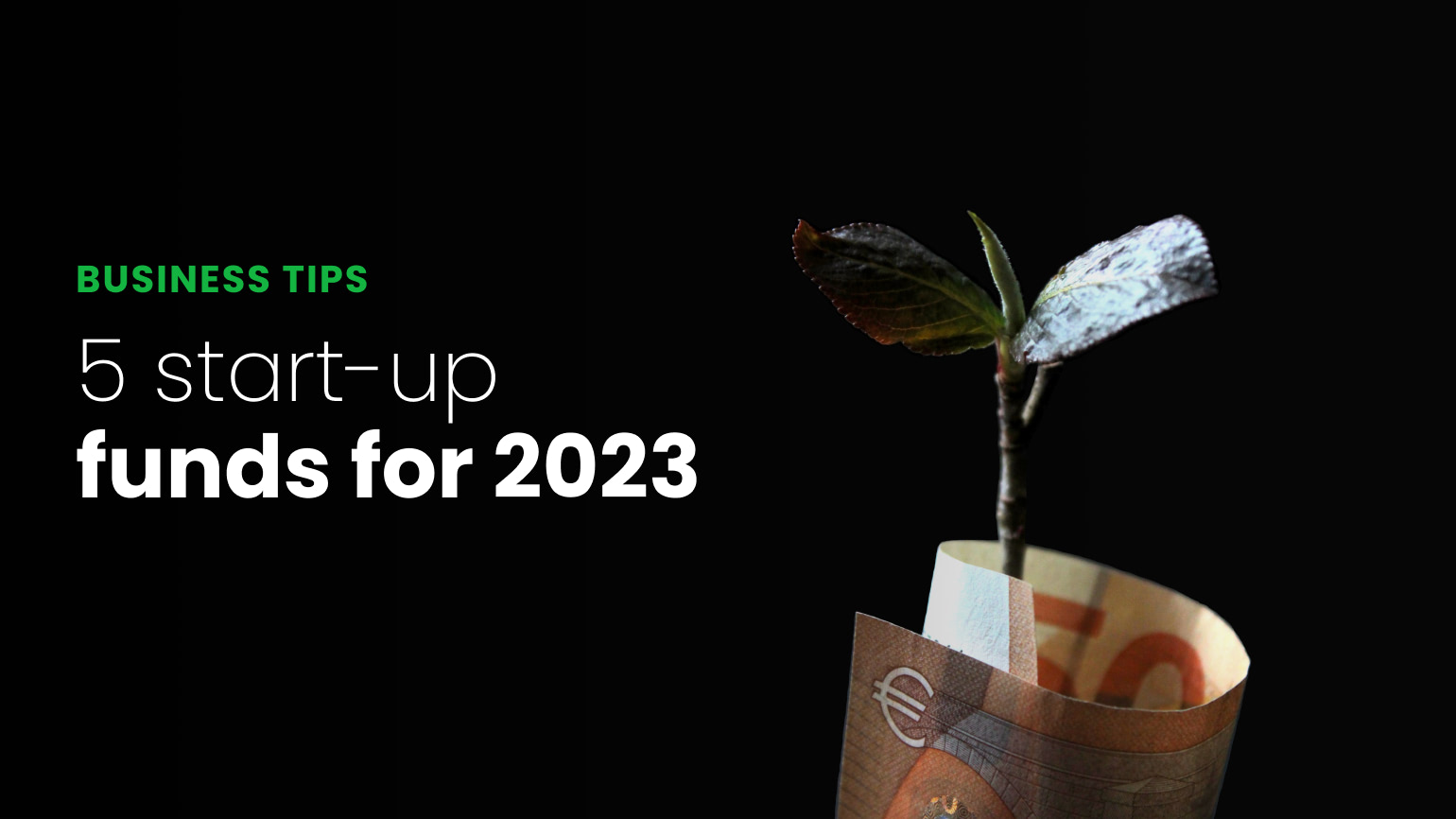 Business tips: 5 start-up funds for 2023 | GoSolo