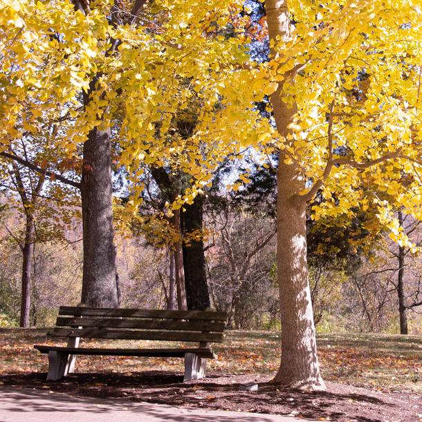 Sustainability | Great Parks of Hamilton County Sustainability | Great Parks of Hamilton County