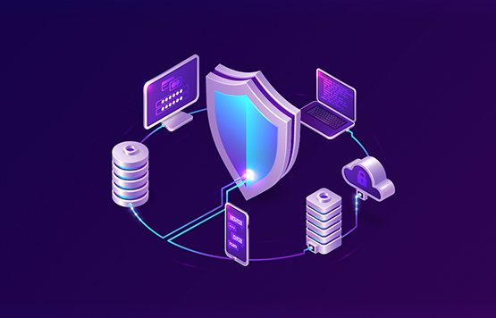 Loyalty Program Compliance with Data Security & Privacy Regulations | Brierley