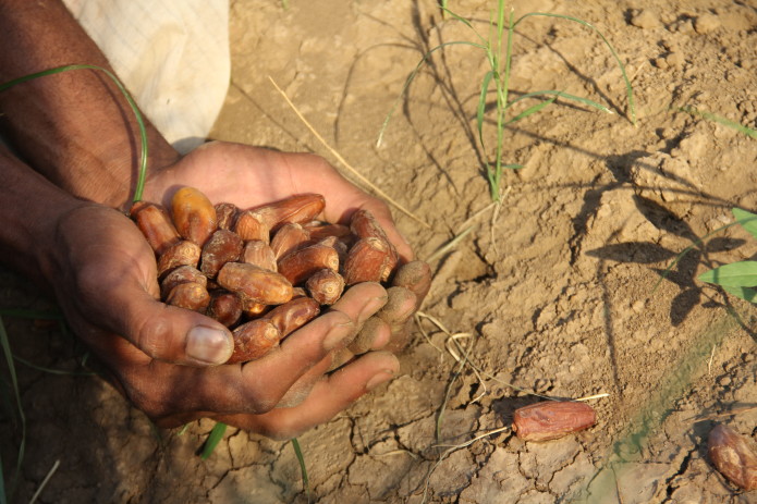 A Handful of Dates Film | Indiegogo