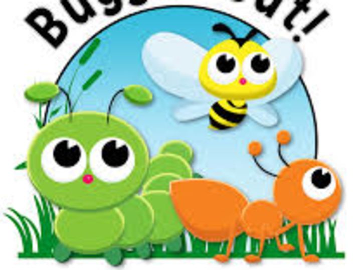 ArtRageous Summer Camp- Buggin' Out