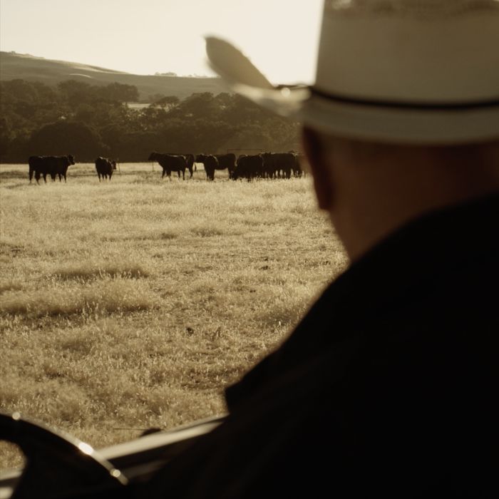 Work | Paradowski Creative