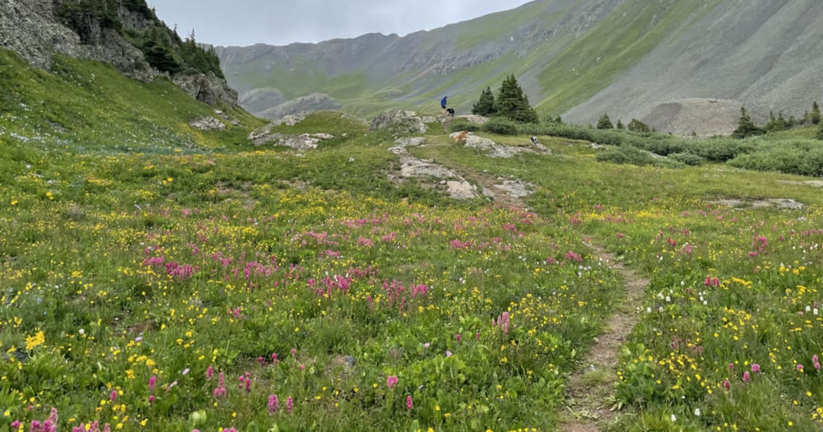 Support Julia Richards - Dirty30 Run-A-Thon | PledgeIt for Charities