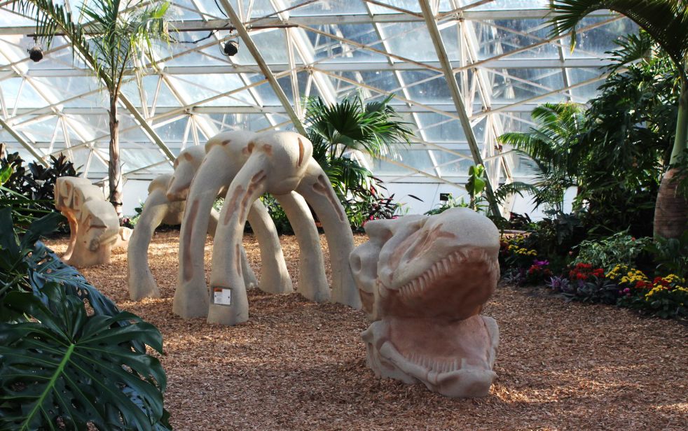 Explore the Botanical Conservatory