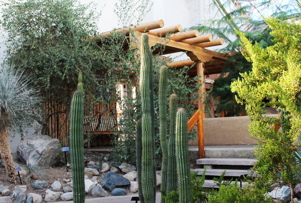 Explore the Botanical Conservatory