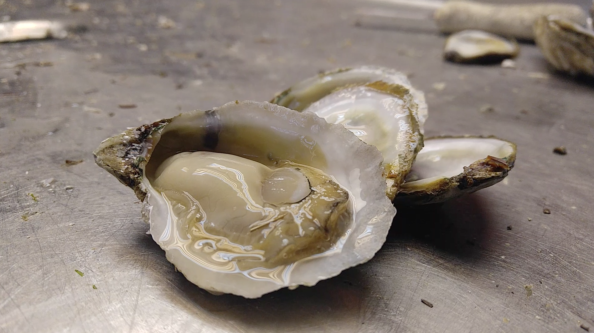 how to cook bluff oysters