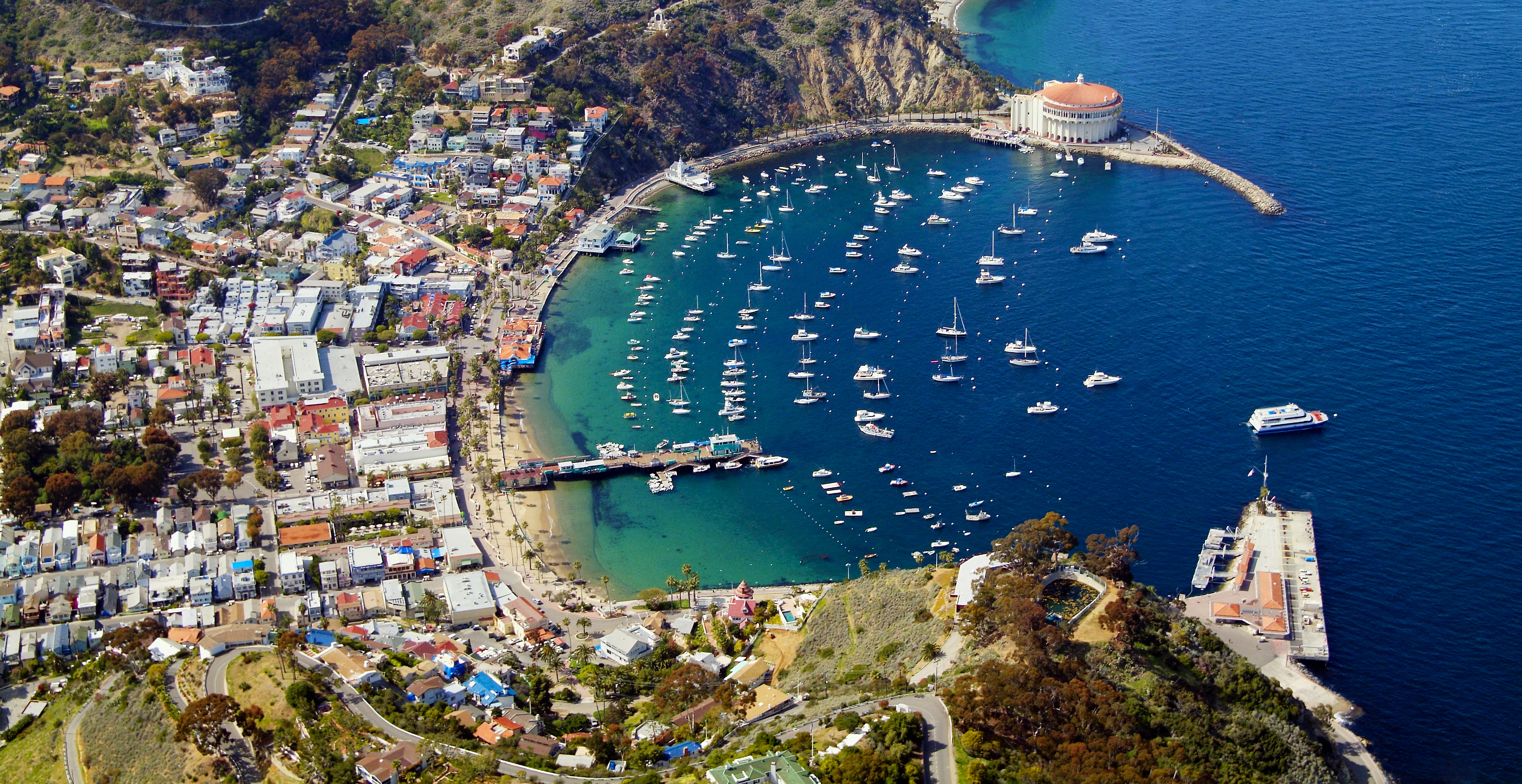Other Home D cor Home Garden Catalina Island Dr kaiya Other Home D cor Home Garden Catalina Island Dr kaiya