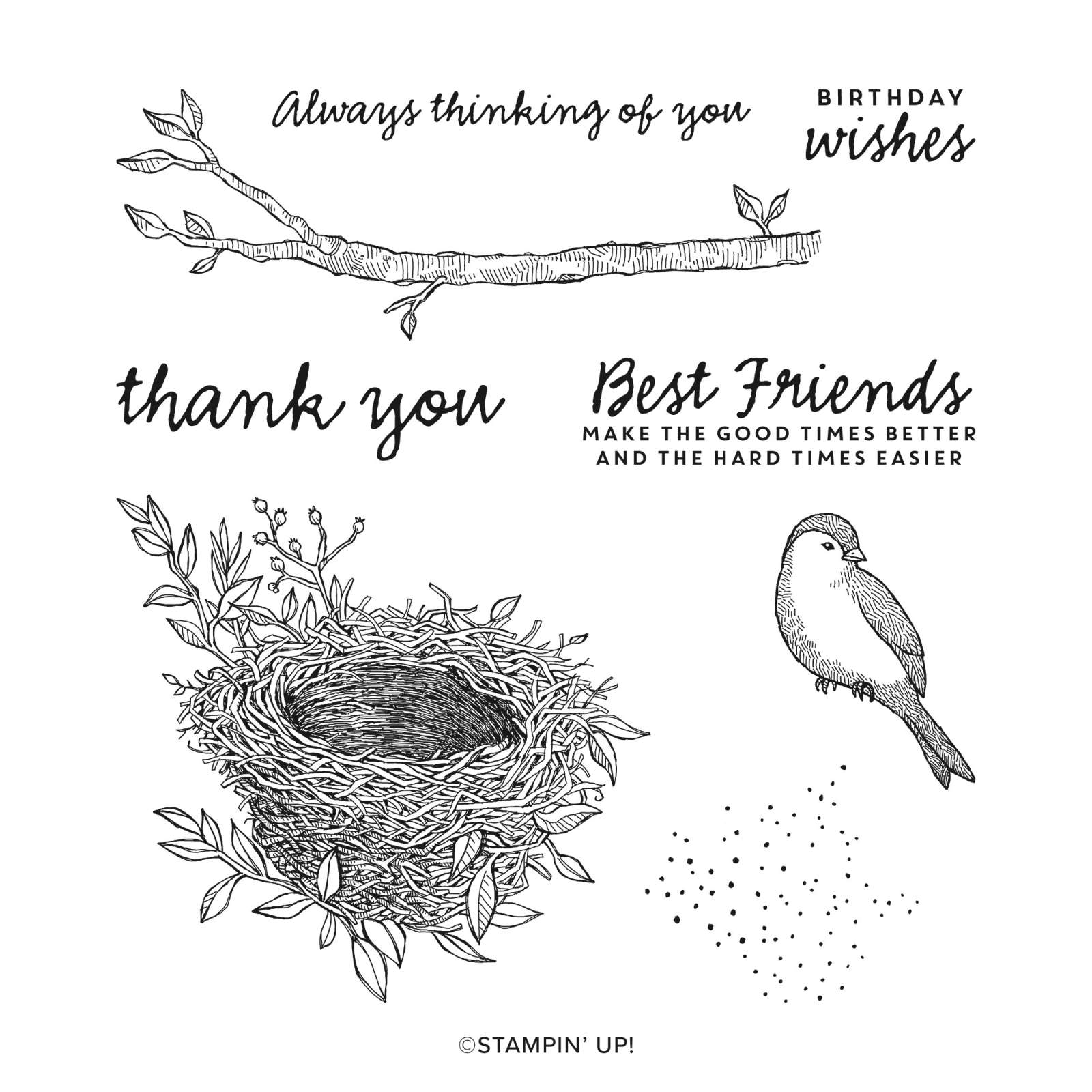 Nested Friends Stamp Set By Stampin Up
