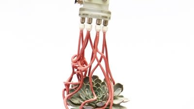 Tentacle Robot Can Gently Grasp Fragile Objects - Tech Briefs