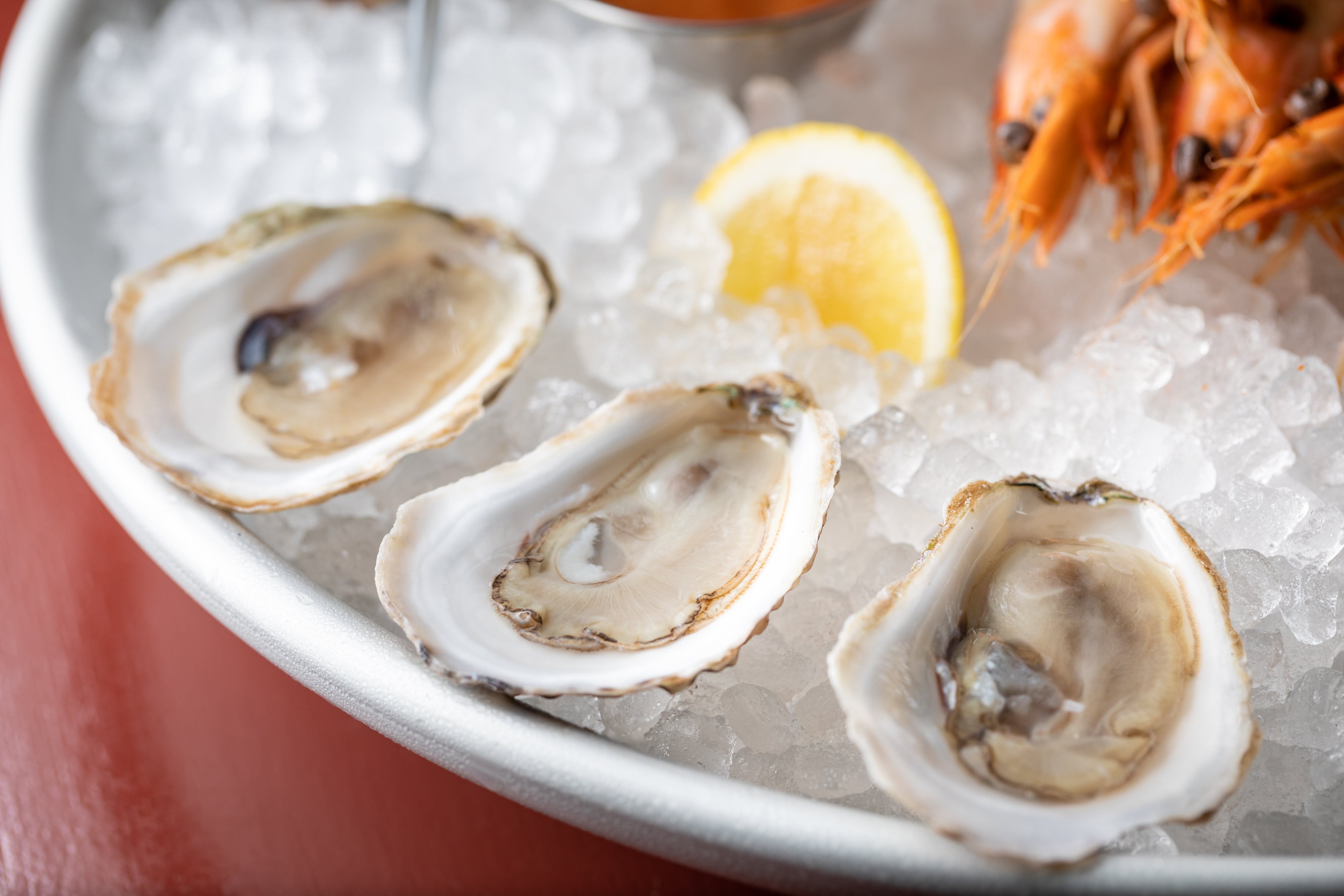 Seafood Oysters