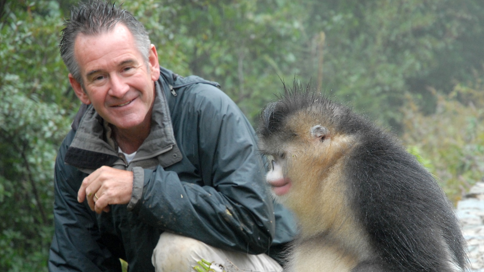 Opiniones de Nigel Marven Opiniones de Nigel Marven