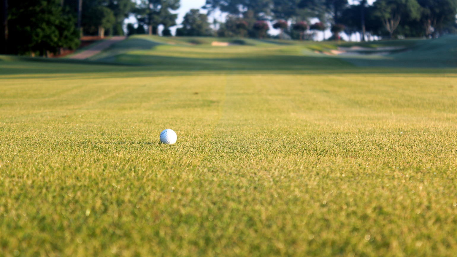 Fairway Conversion From Bermudagrass To Zoysiagrass