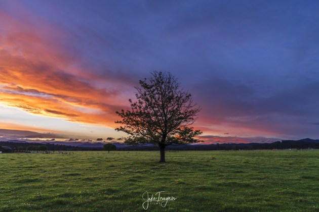Should you watermark your images? - Australian Photography Should you watermark your images? - Australian Photography