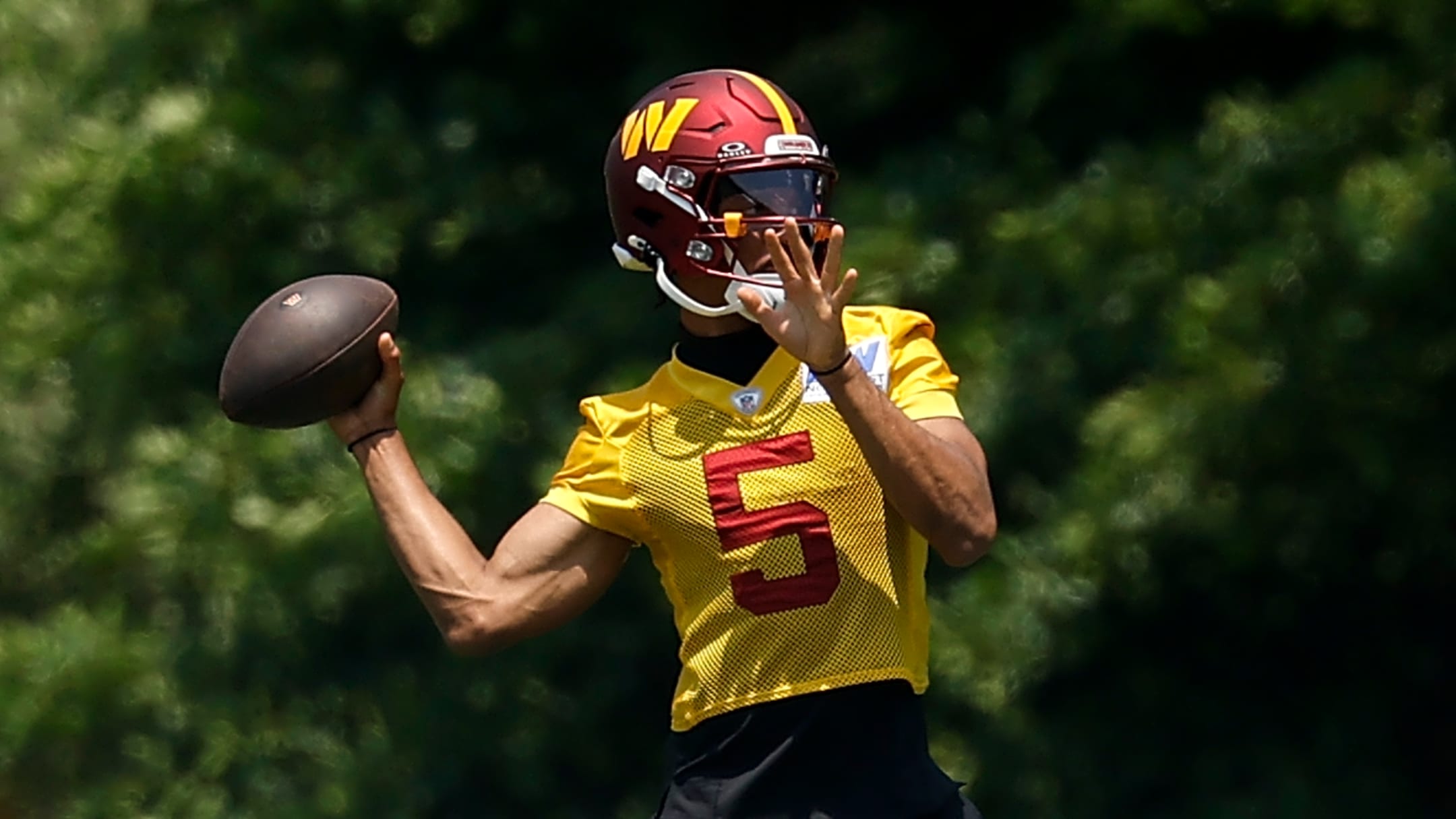 mark schlereth stats