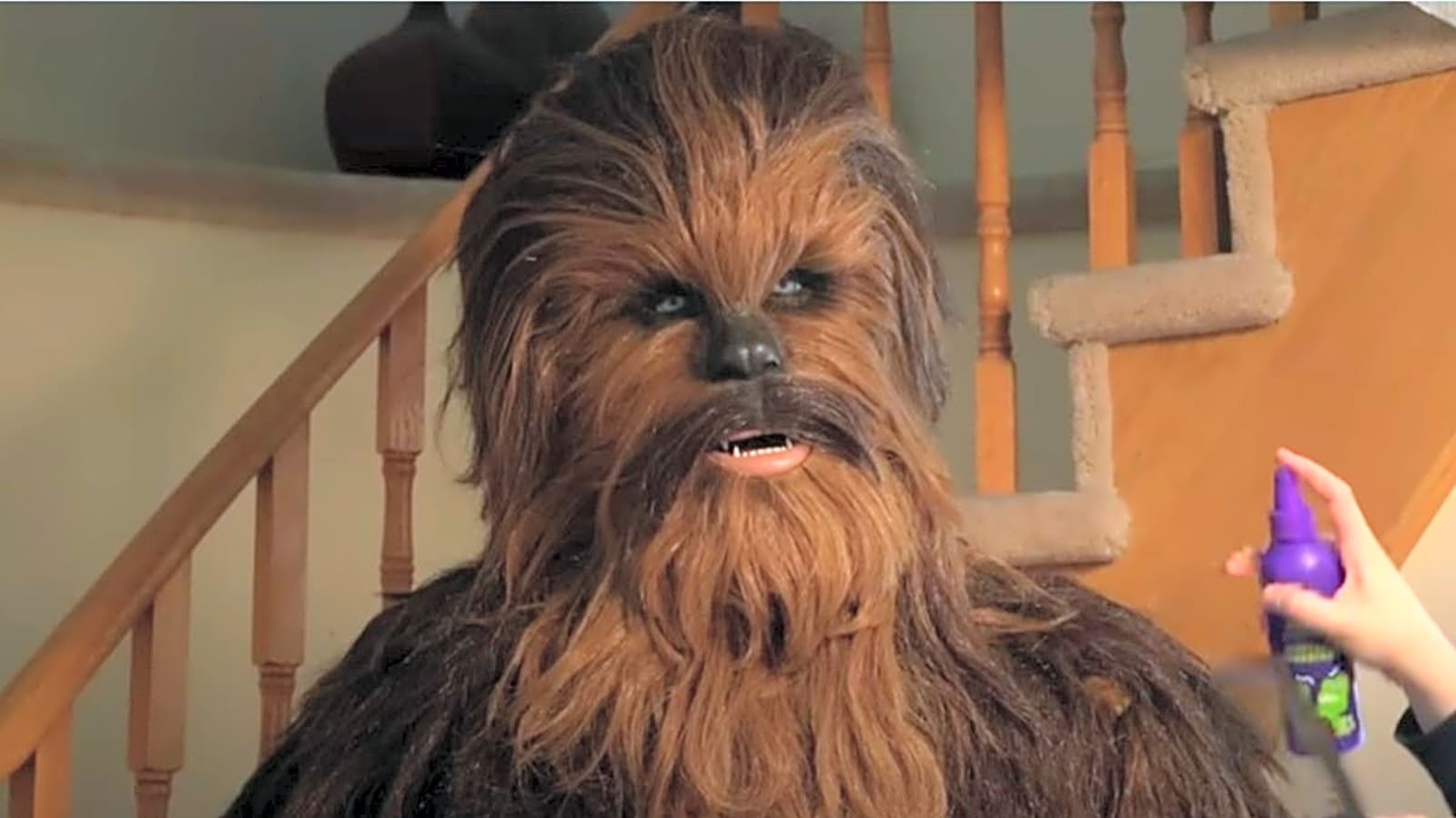 chewbacca animatronic