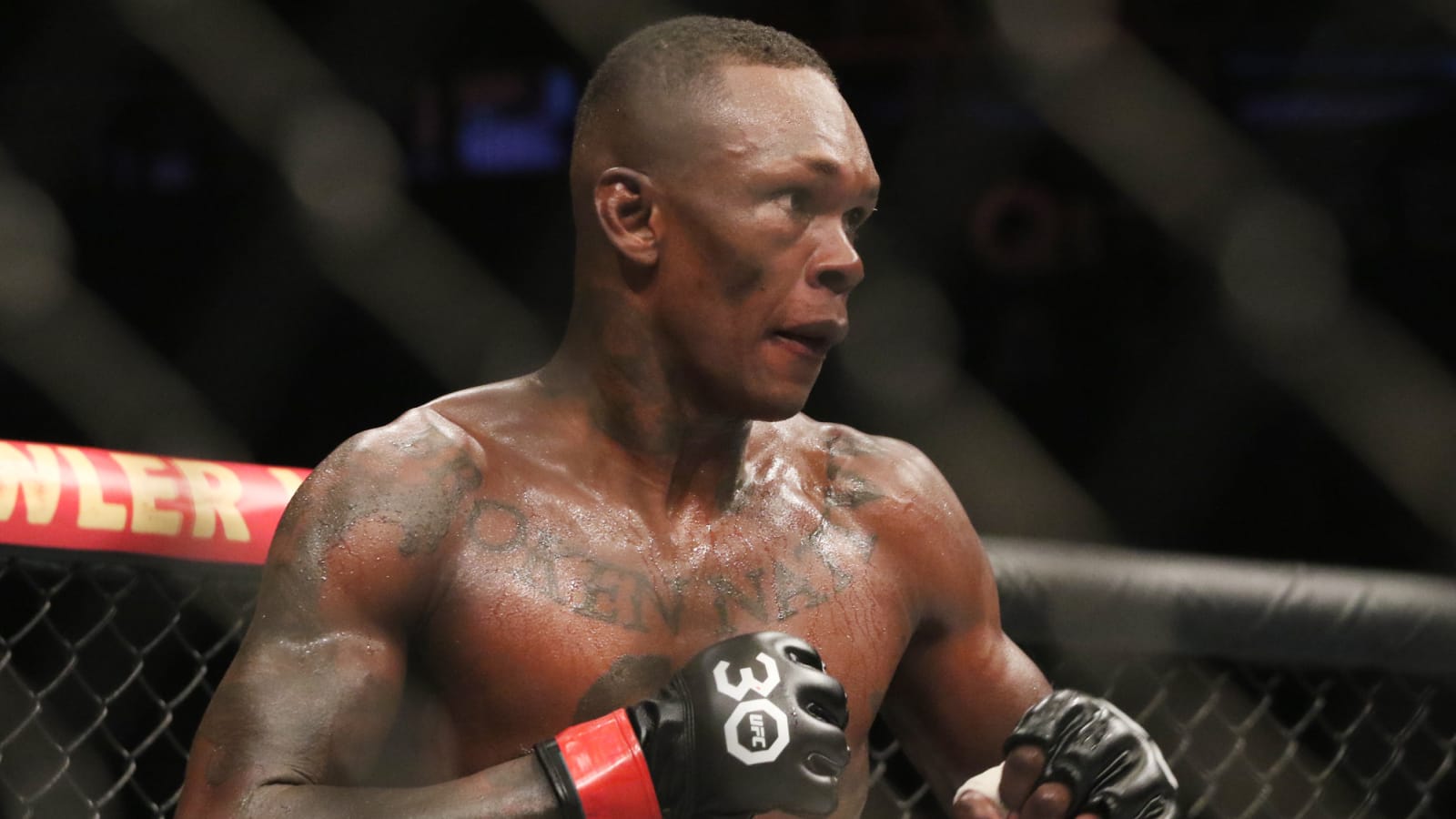 Predicting the next fight for every loser on the UFC 305 main card ... Predicting the next fight for every loser on the UFC 305 main card ...