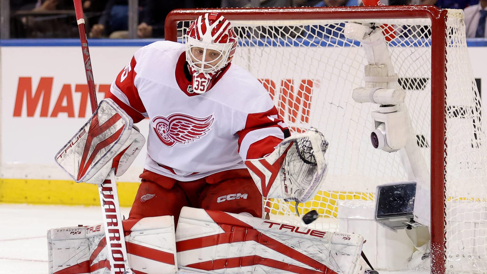 Red Wings Report Cards: Grading the First Quarter of the Season | Yardbarker
