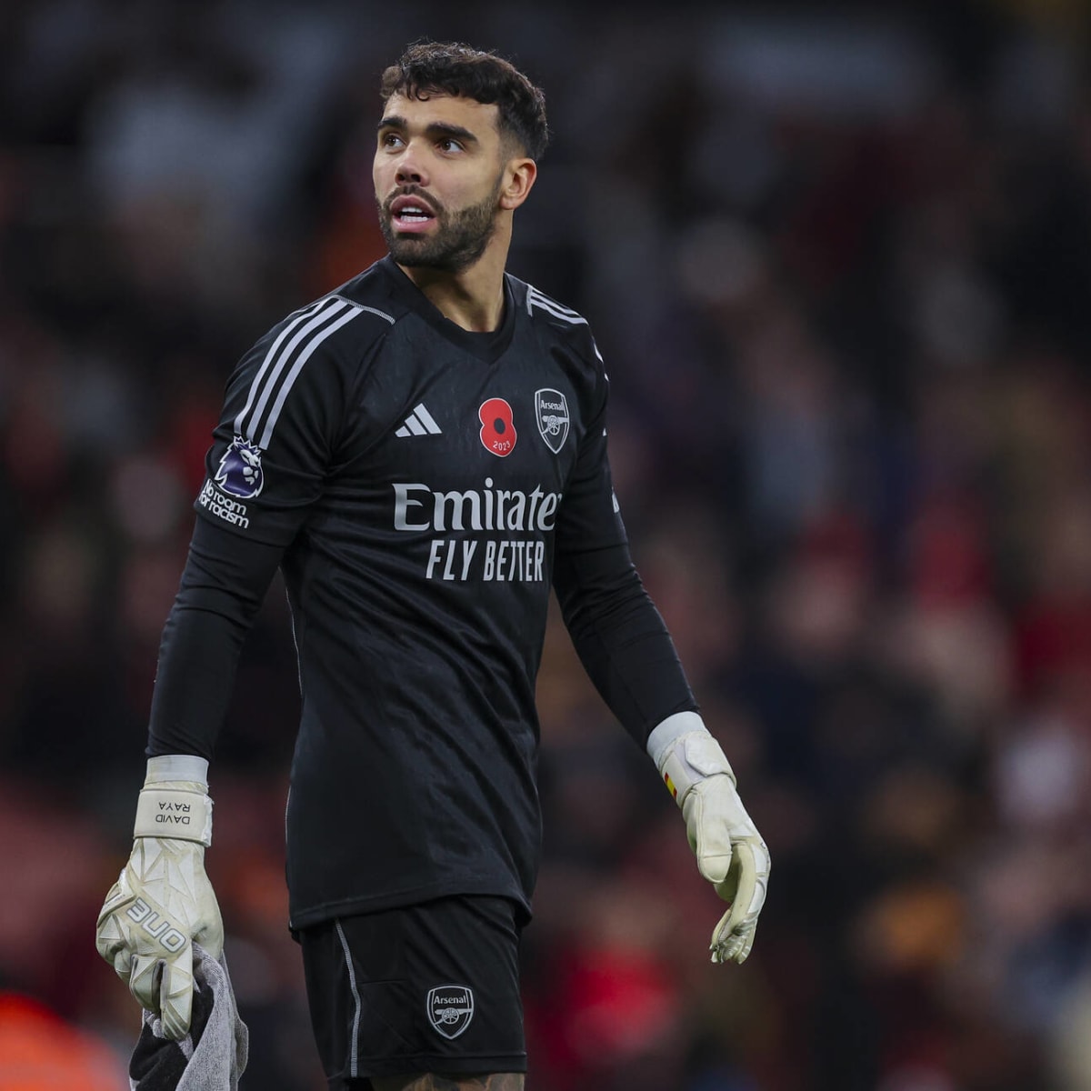 david raya bluespace