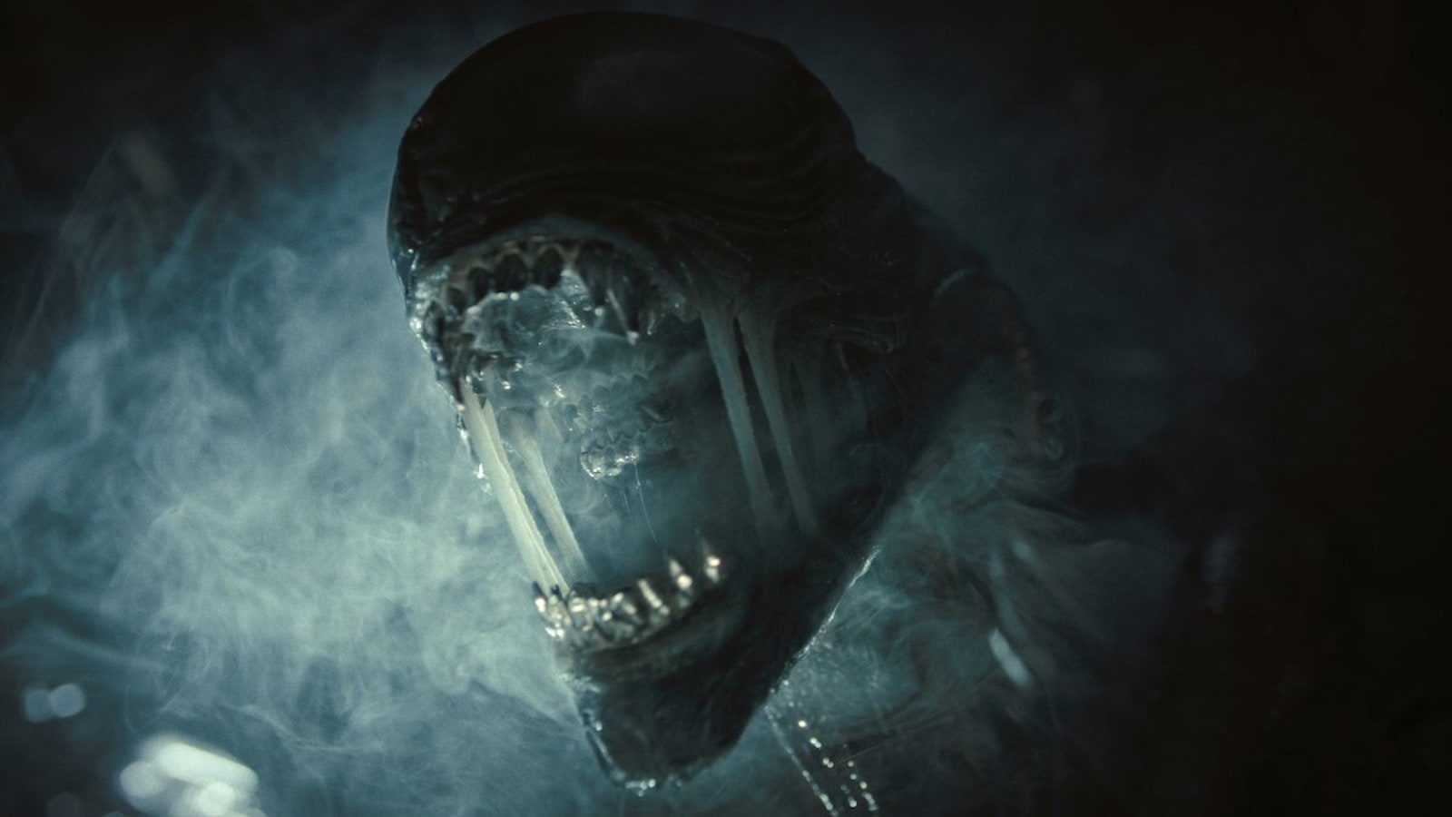 Final ALIEN: ROMULUS Trailer Features a Facehugger Free-for-all | Yardbarker