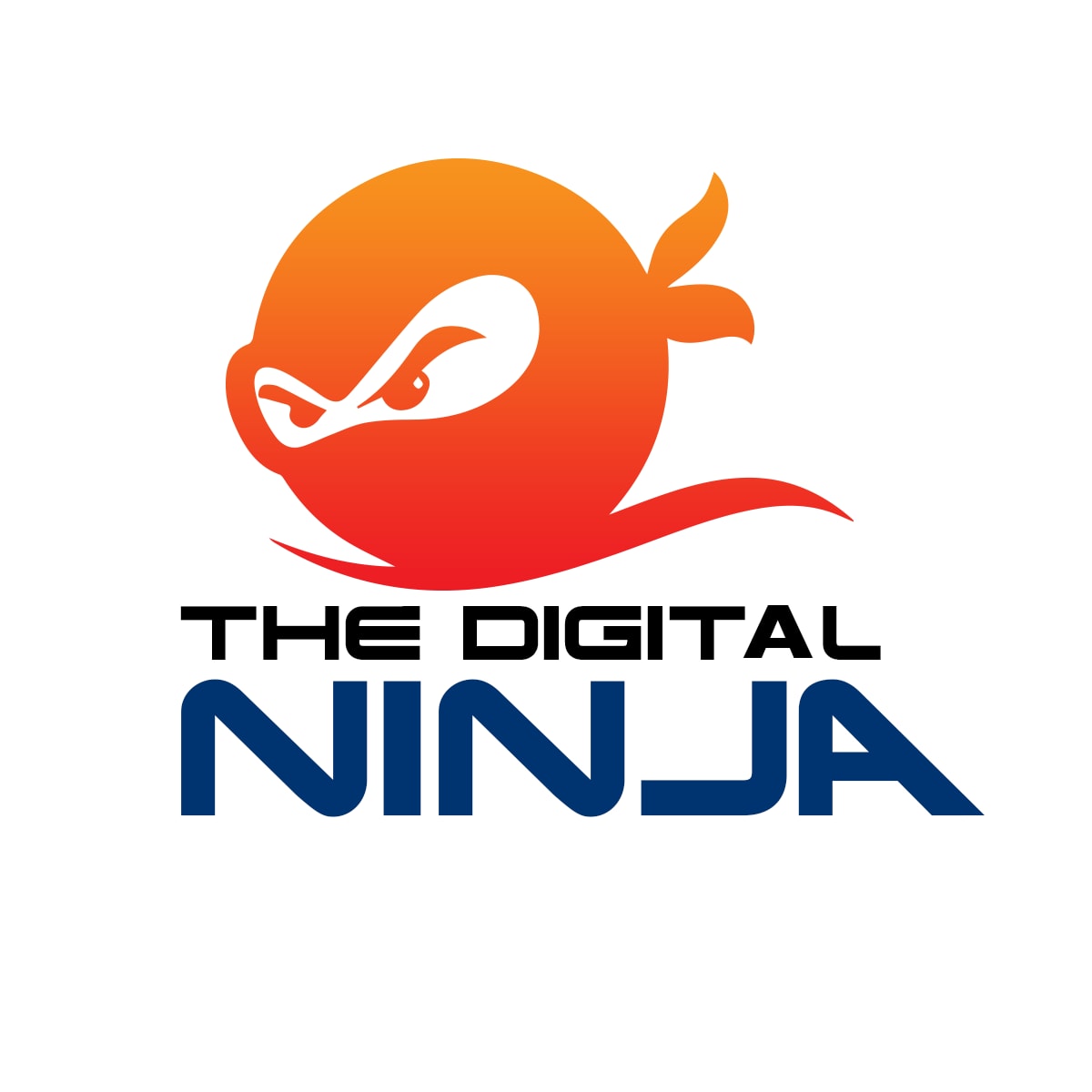 The Digital Ninja - Russell Perkins