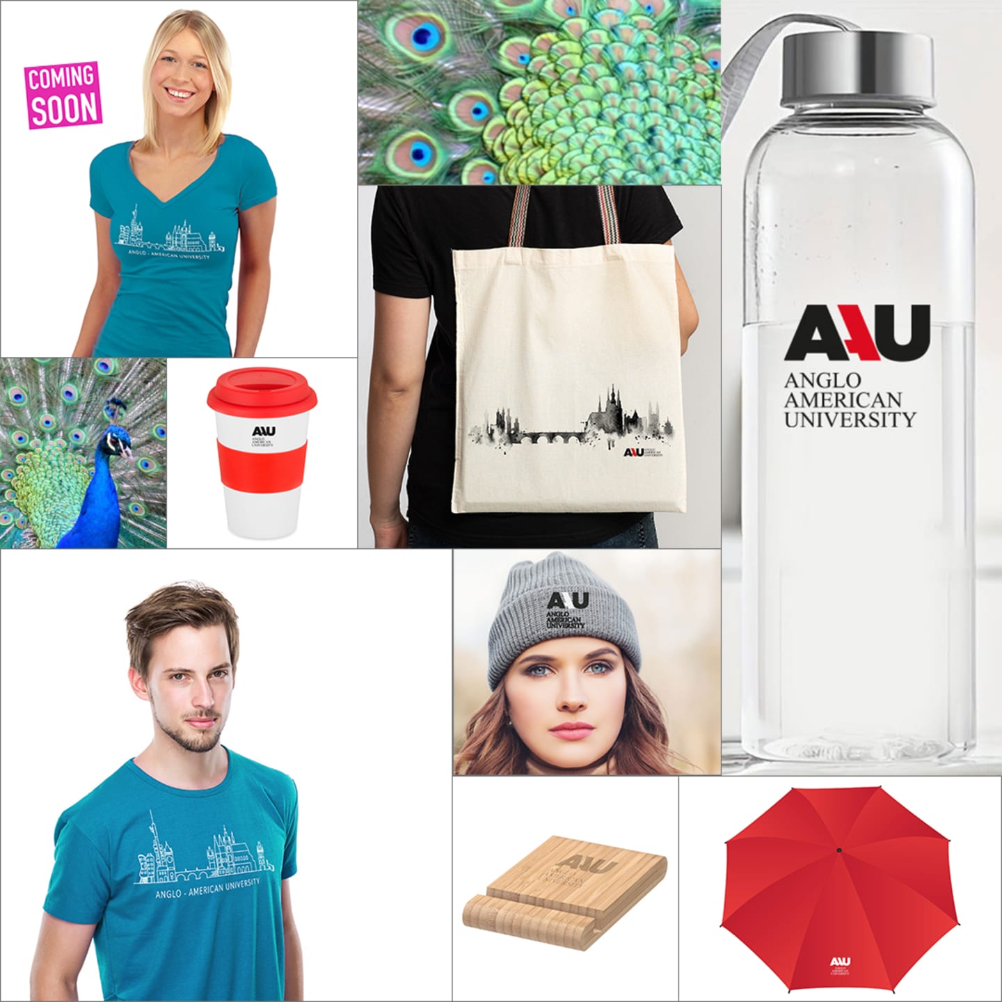 AAU Store - Anglo-American University in Prague