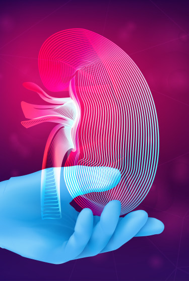 Nephrotic Syndrome Management in DE | Nephrology Consultants