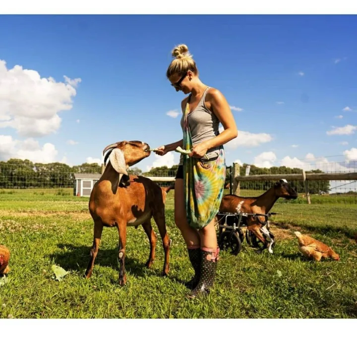 Ashley Riddle (@ashwickety) | abillion