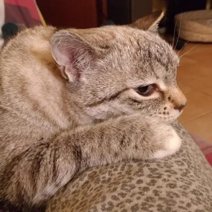 labru (@labru) | abillion