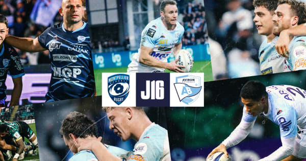 Actualités - Programmation