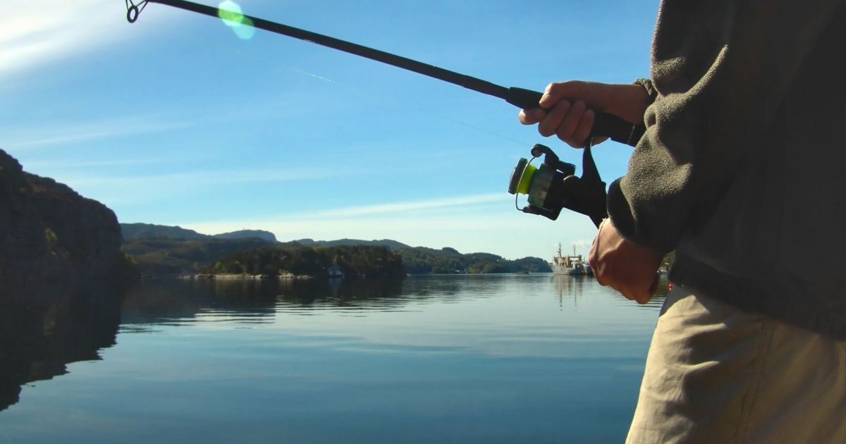 Fish for cod and mackerel · Bergen Fishing