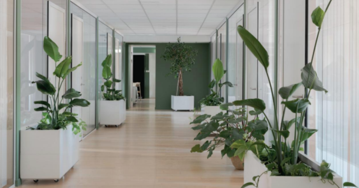 Ambius, Initial & Rentokil