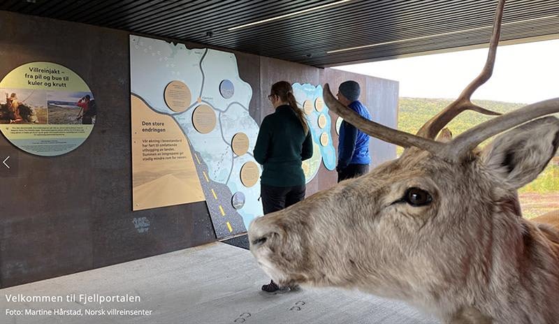 Aktiviteter i nærheten · Oppdal Alpintun