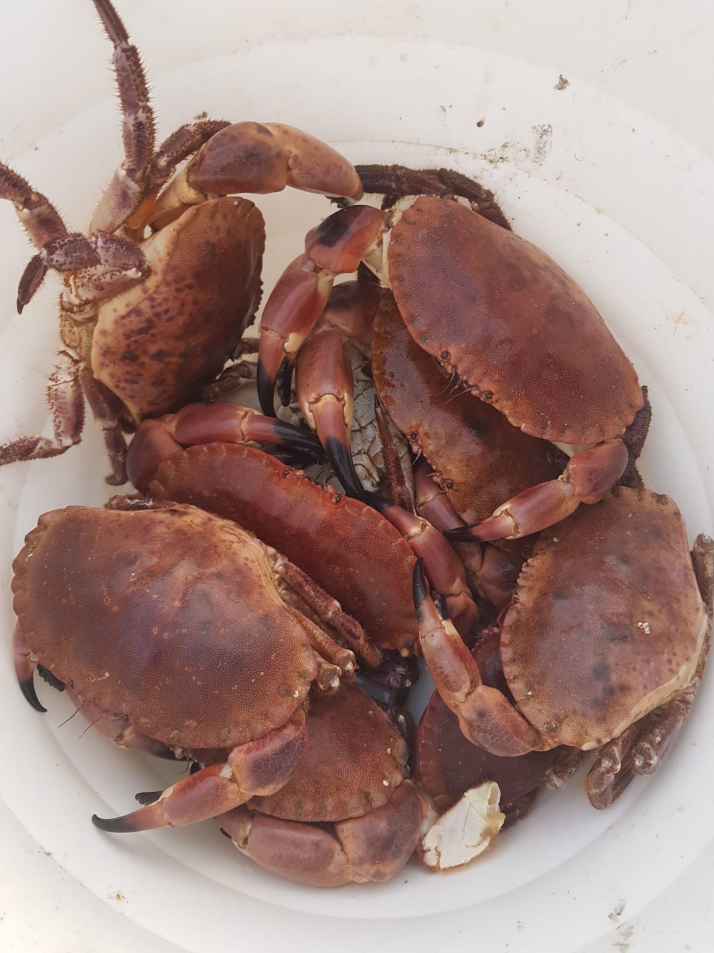 Experience real Norwegian fishing tradition · Bergen Fishing