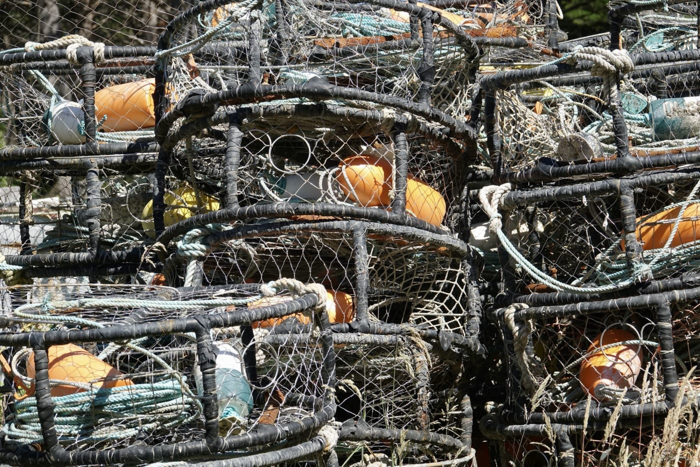 Experience real Norwegian fishing tradition · Bergen Fishing