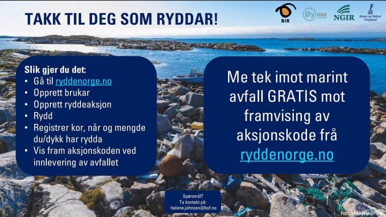 Planlegg du ryddeaksjon? Slik gjer du det · Øyvar