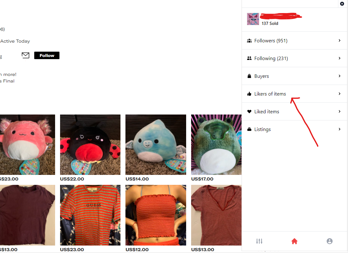 Messaging Users - Poppy Guide - Closet Mojo