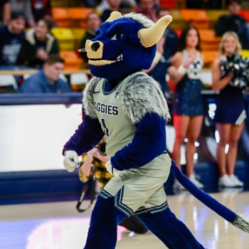Who Has the Best College Basketball Mascots? | Academic Influence
