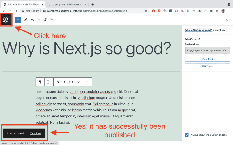 Using Nextjs With Wordpress Headless Cms