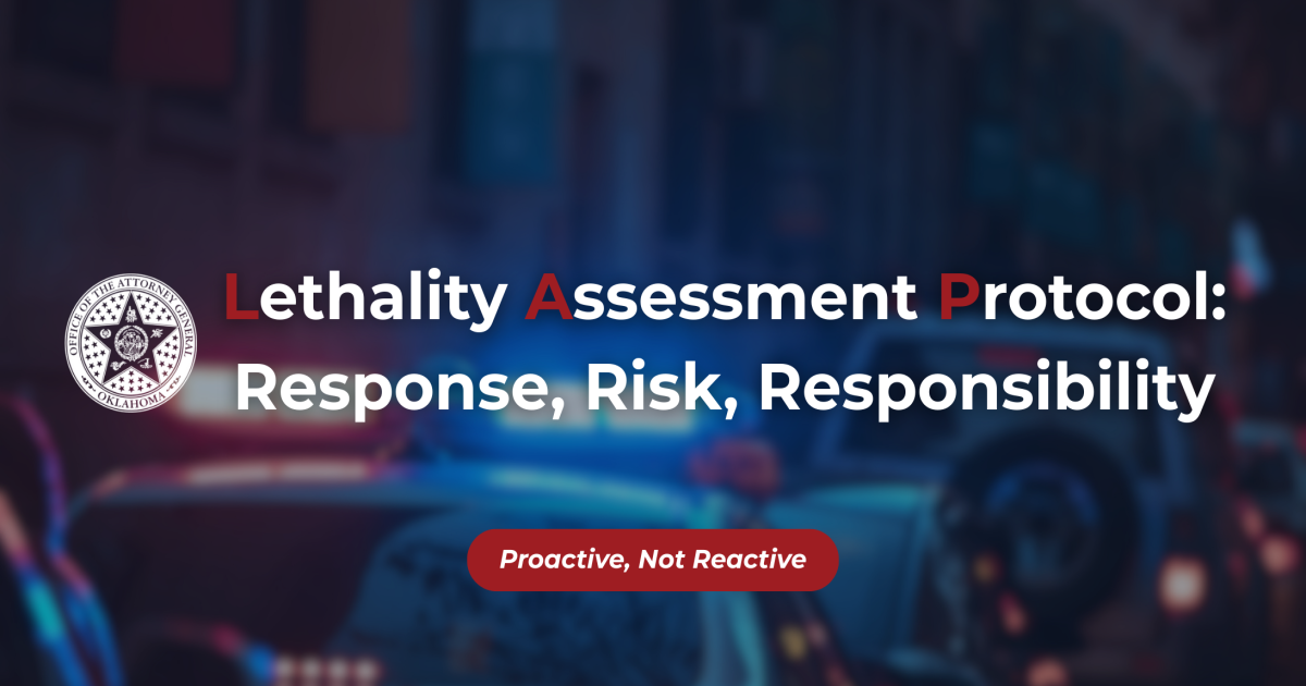 Lethality Assessment Protocol (LAP): Response, Risk, Responsibility ...